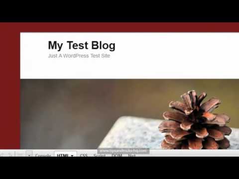 How to use Firebug to Modify Your WordPress Site's CSS – Part1 | Dieno Digital Marketing Services