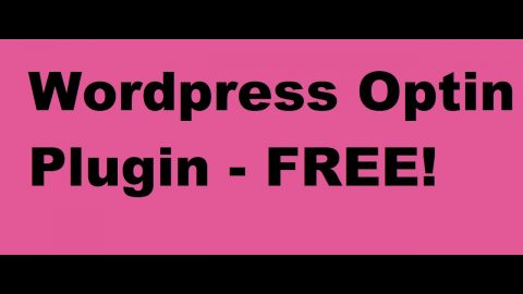 WordPress Optin Plugin – Optin Form | Dieno Digital Marketing Services