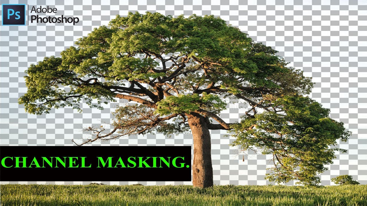 How to use Channel Masking in Adobe Photoshop.Remove background by ...