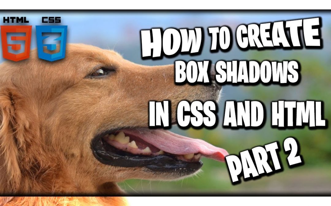 How To Create Box Shadows Using Css And Html Part 2 Html And Css Tutorial Dieno Digital