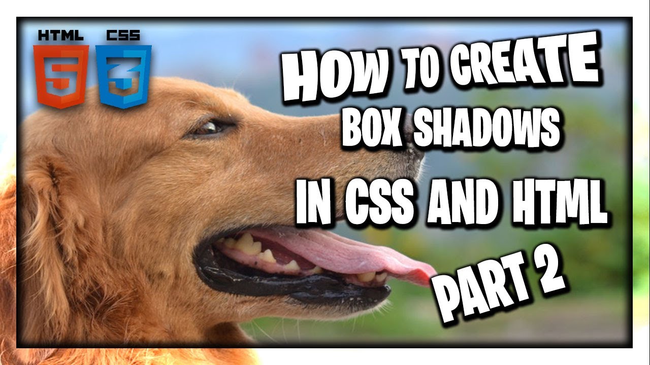How To Create Box Shadows Using Css And Html Part 2 Html And Css Tutorial Dieno Digital