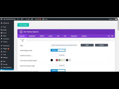 Where to apply Custom CSS to Divi website – Divi Theme Options | Dieno ...