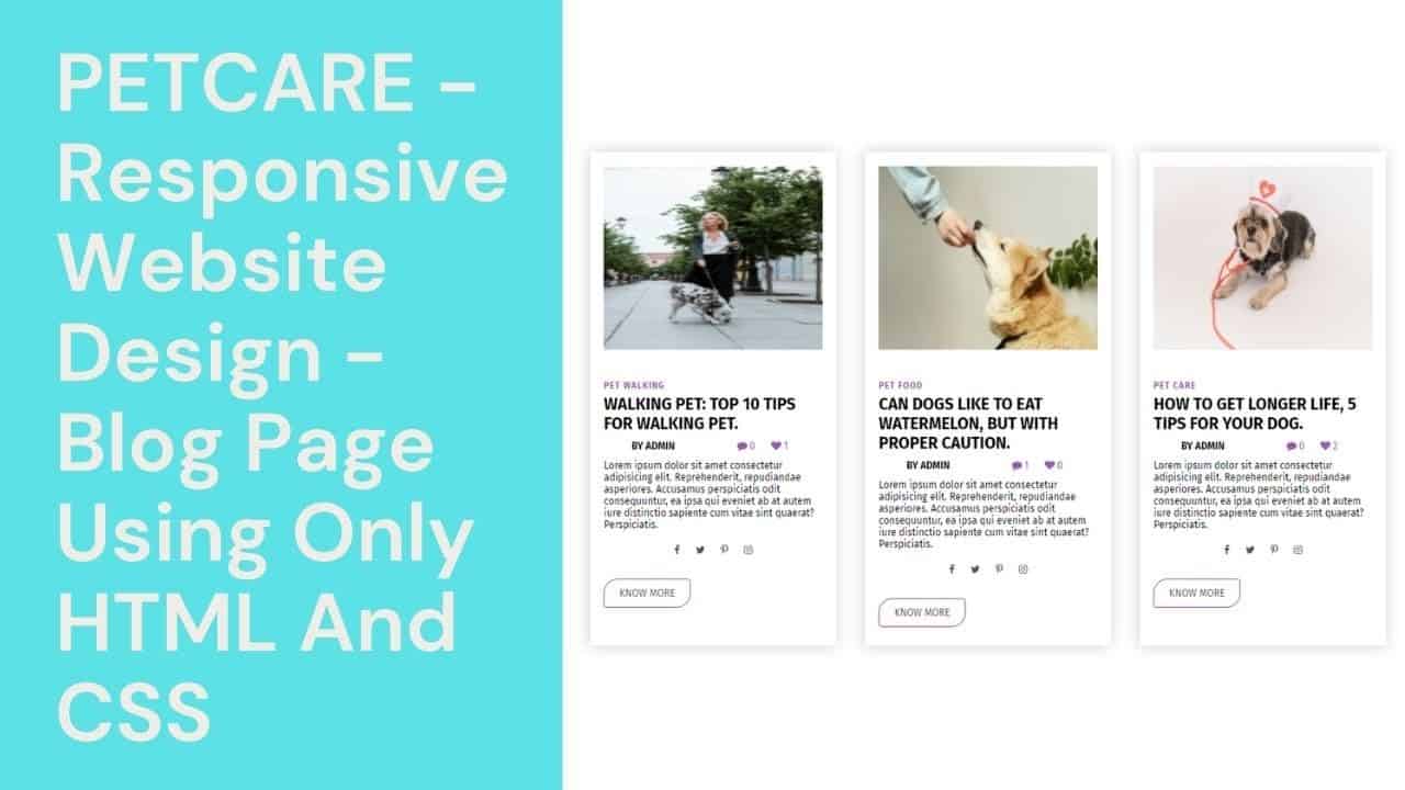 PetCare – Responsive Website Design – Blog Page Using Only HTML And CSS ... PetCare – Responsive Website Design – Blog Page Using Only HTML And CSS ...