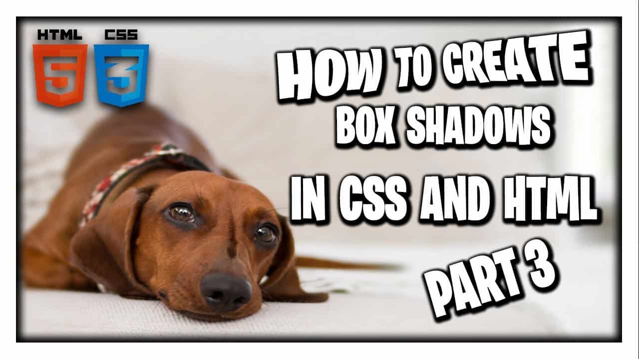 How To Create Box Shadows Using Css And Html Part 3 Html And Css Tutorial Dieno Digital